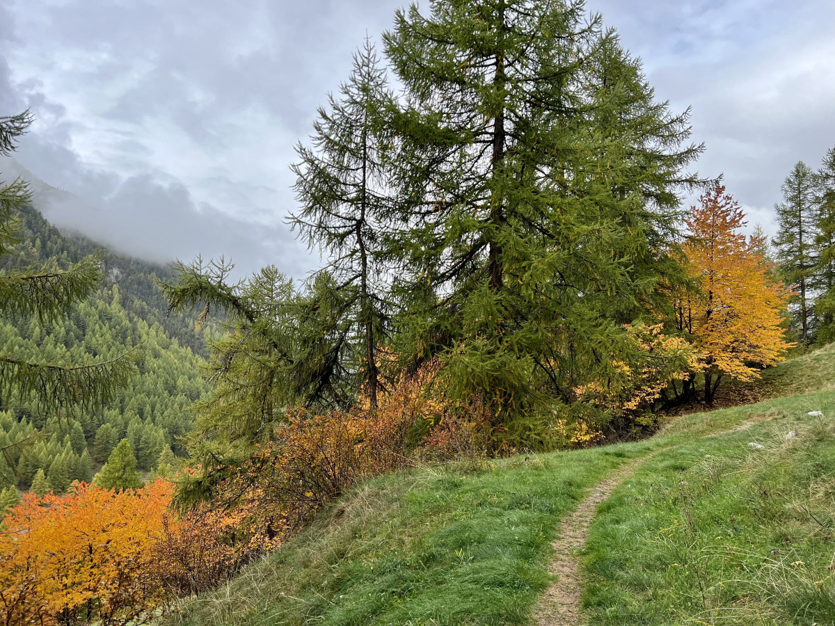 Découvrez Ceillac en Photo